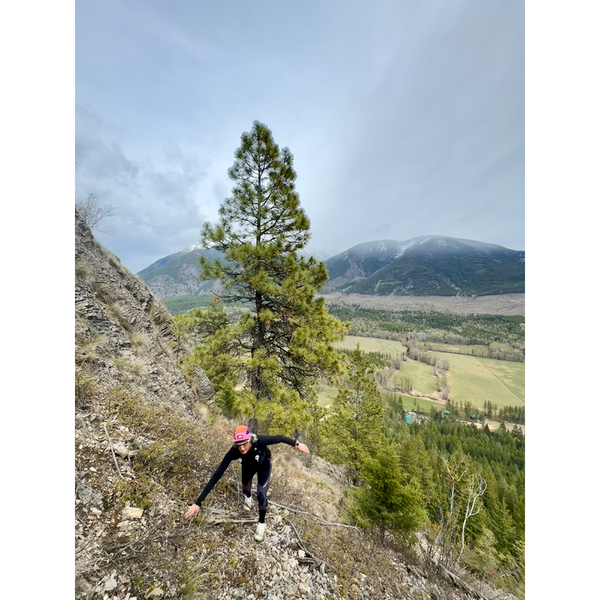 Minotaur Musings, Part 3 - spry